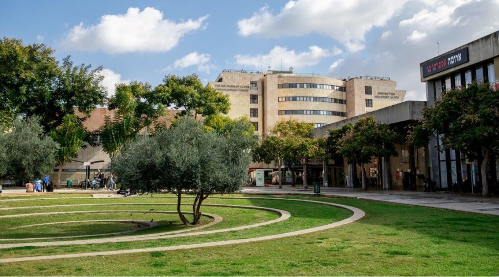 Physicians from Sheba Among the Best in Israel in 2022 (Forbes)