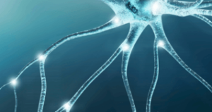 Interventional Neurology & Stroke Management | Sheba Academy