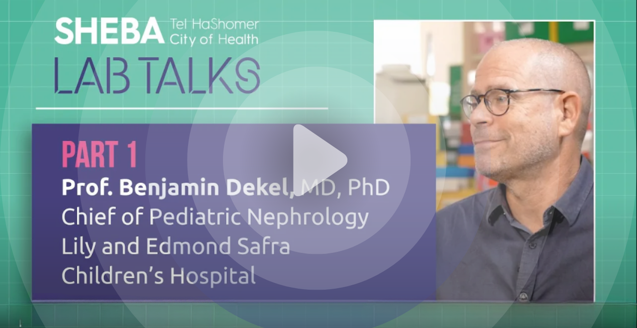 Sheba Medical Center: Innovations in Kidney Regenerative Medicine